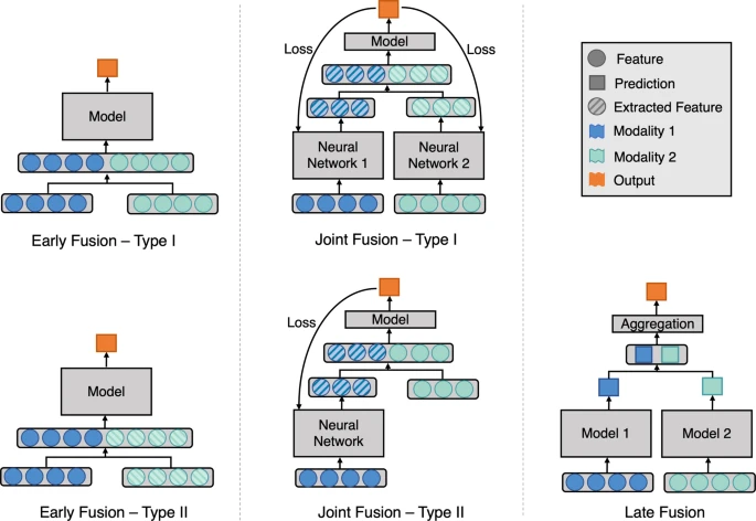 Fusion of medical imaging and electronic health records using deep ...